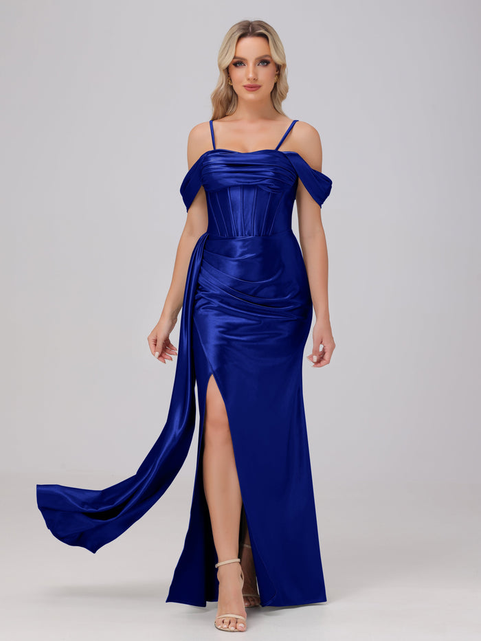 Royal Blue Prom Dresses Off the Shoulder Straps Bodice Zip Back Prom D